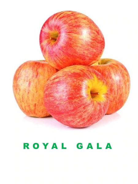 Apple Royal Gala – Fresh Produce Shoppe