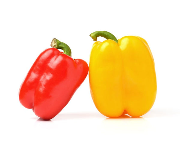Shimla Mirch Red Yellow (Bell Pepar) – Fresh Produce Shoppe